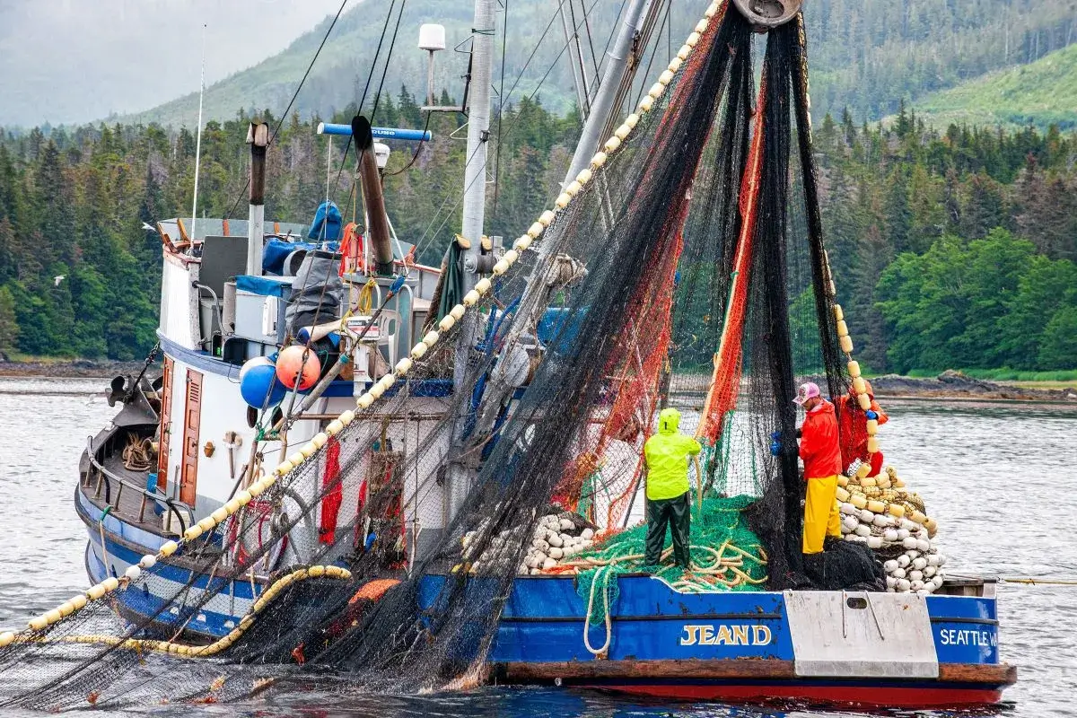 High-Quality Fishing Rope | Durable and Affordable | Duracordix