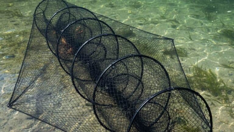 How Do Fishing Nets Work? Types, Materials, and Design Explained！